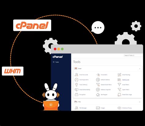 Cpanel Server Management And Support Provider