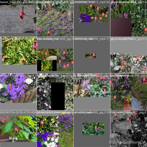 基于深度学习的高精度蜜蜂检测识别系统（pytorch pyside6 yolov5模型） 基于深度学习的蜜蜂中蜂浆掺假 csdn博客