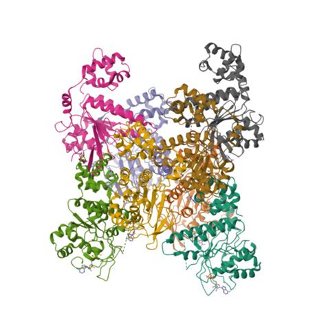 Rcsb Pdb 8gyk Cryoem Structure Of The Rad51adp Filament
