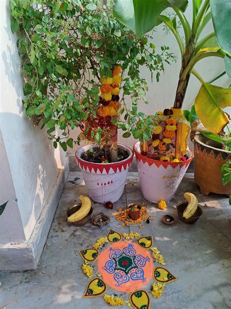 Tulsi Vivah 2024 Date जानें कब है तुलसी विवाह पूजा का शुभ मुहूर्त और