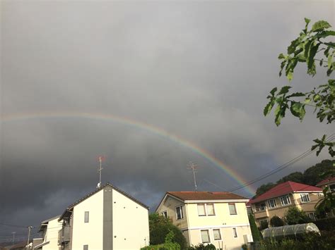 虹 アイネックスすたっふるーむ