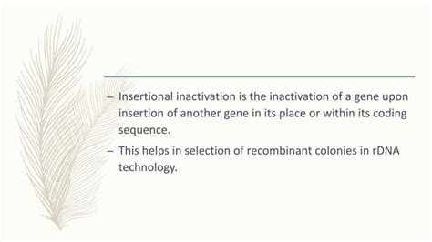 Selection And Screening Of Recombinant Clones Pptx