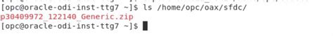 reference architecture salesforce data replication into adw using