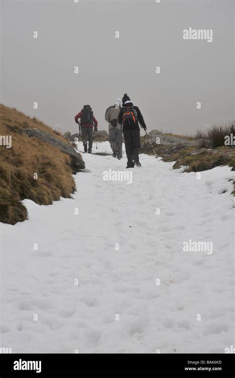 Walkers Ascend The Llanberris Path On Mount Snowdon Climbing The Snow Into The Cloud Stock