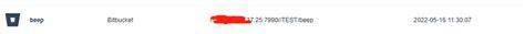 wrong git url of the private bitbucket repository · issue 615