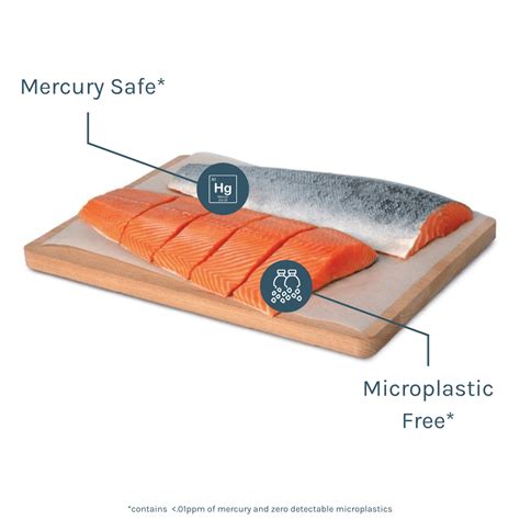 Buy Ora King Salmon Online Seatopia Certified Clean New Zealand King Salmon Seatopia