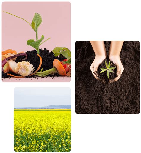 Bio Fertilizer Trishul Biotech