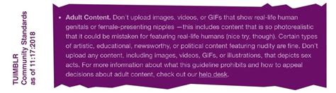 Tumblr Adult Content Banned In High Risk Strategy