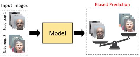 Illustrating Biased Predictions Of Deep Models To Favordisfavor