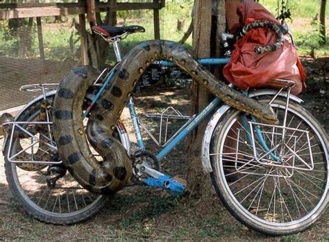 5 Creative Ways To Protect Your Bike From Theft We Love Cycling Magazine