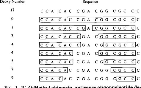 Figure 1 From Evaluation Of 2”modified Oligonucleotides Containing 2