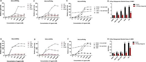 Cannabidiol Promotes Adipogenesis Of Human And Mouse Mesenchymal Stem Cells Via Pparγ By