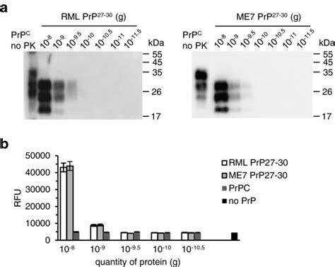 Establishing Quantitative Real Time Quaking Induced Conversion Qrt Quic For Highly Sensitive