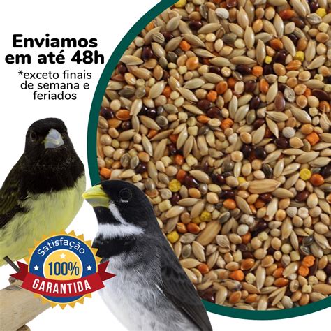Mistura De Sementes Para Coleiro Selvagem 500g Faz A Boa