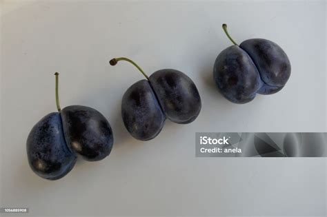 심장모양의 매 화 쌍 샴 쌍둥이 벚나무 부채 흰색 배경에 고립 0명에 대한 스톡 사진 및 기타 이미지 0명 3가지 개체