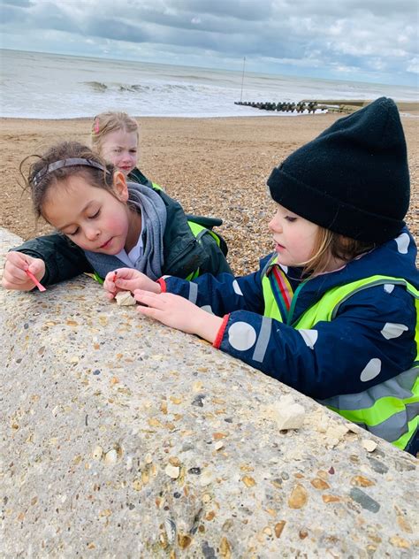 Brighton Girls On Twitter For Science Week Beach School Uncovered