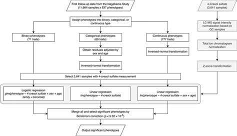 Details Of The Phewas Analysis Pipeline This Pipeline Was Constructed