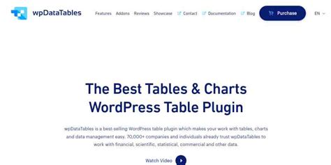 wpdatatables pluginizer