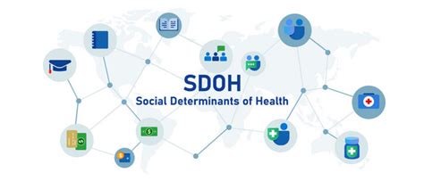 Social Determinants Of Health Circle Infographic Vector Image