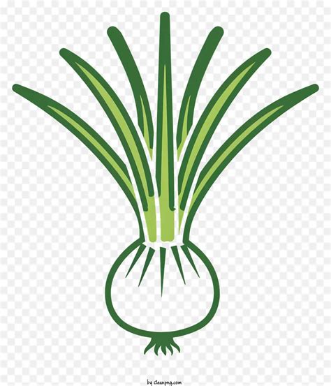 St Davids Day Graphic Representation Of Green Onion Plant Clip