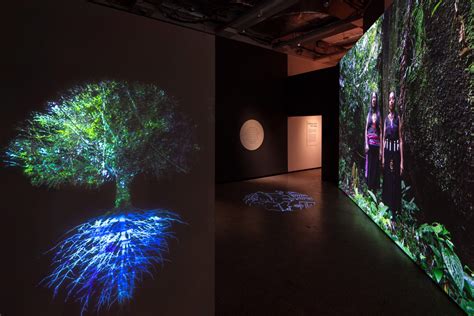 Design Museum Curators Pick Five Works From More Than Human Exhibition