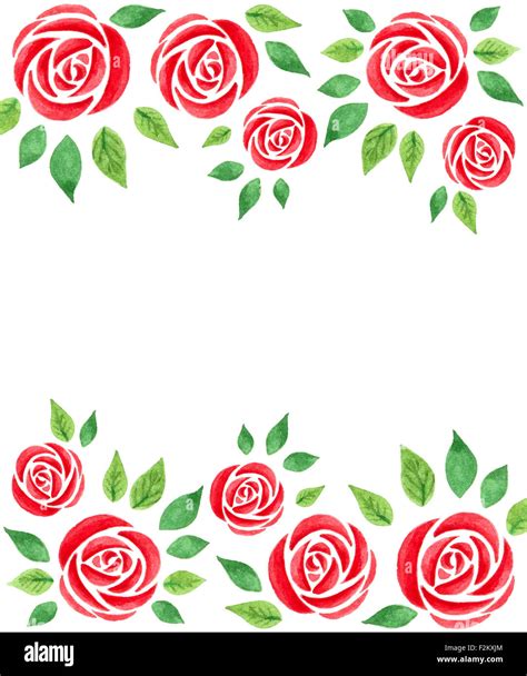 Flower Rose Plant Roses Watercolour Fotos Und Bildmaterial In Hoher