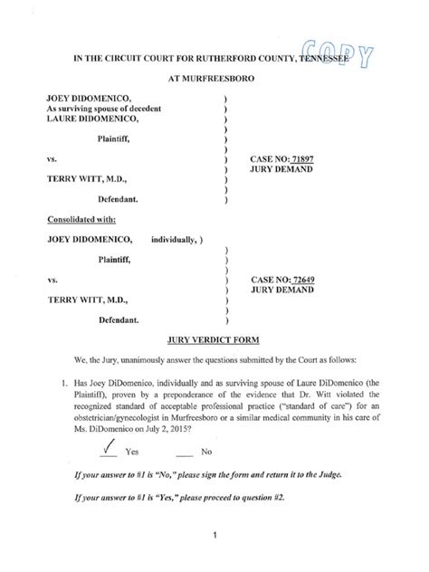 Didomenico V Terry Witt M D Jury Verdict Form