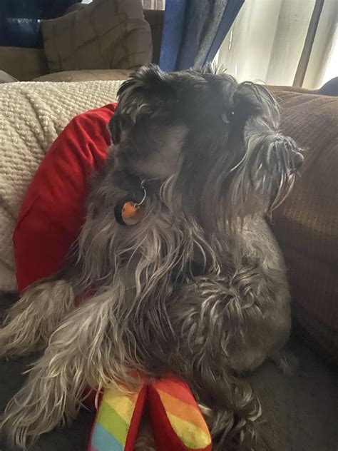 More Crazy Poppins So Scruffy You Can Hardly Tell Where Her Face Is