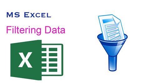 filtering data in excel youtube