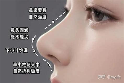 直鼻、翘鼻、水滴鼻，各适合怎样的脸型？ 知乎