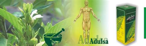 Ayurvedeeya Arkashala