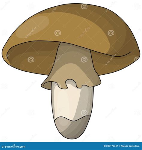 Para Colorear Hongos Colorear Imágenes