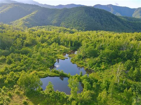 オソメ池長野県松本 水辺遍路