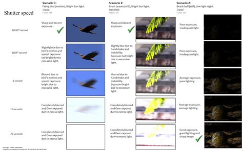 Lots Of Stuff Photography Basics For Dummies Manual Settings 3