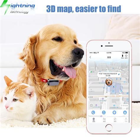 Cow Bird Gps Tracker Waterproof Dog Collar Gps Tracker 3g Anti Lost Pet