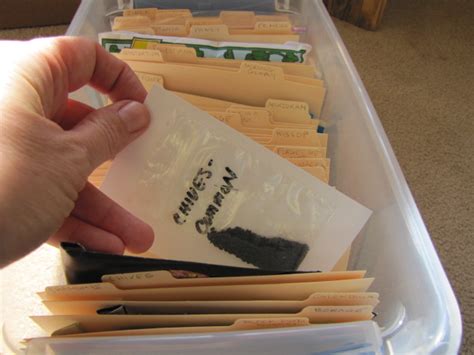 Masterpiece Theater Seed Organizing