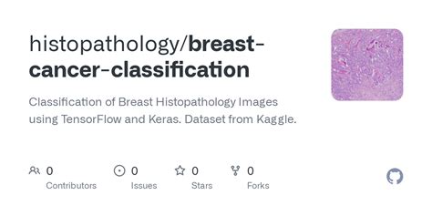 Github Histopathology Breast Cancer Classification Classification Of Breast Histopathology