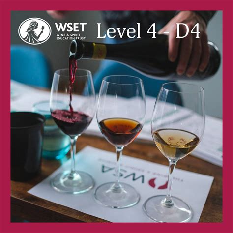 Wset Level 4 Diploma In Wines Advance Your Expertise — The Wine