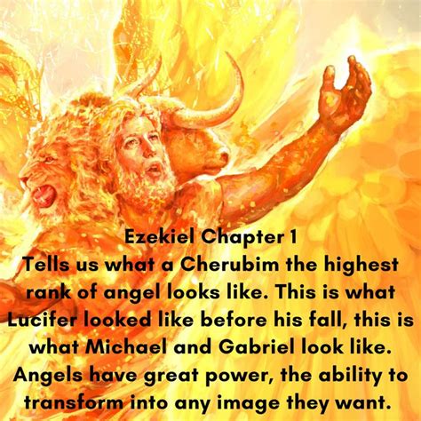 Cherubim Angels In The Bible Verse