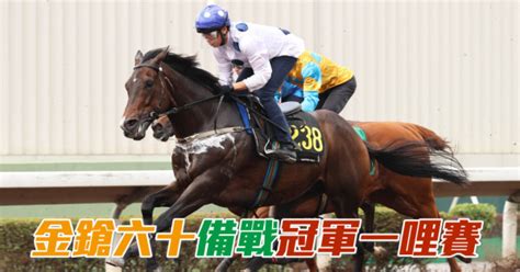 「金鎗六十」試閘為復出備戰 星島日報