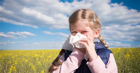 A Cross Reactivity Allergy Guide And Practical Tips Cushelle
