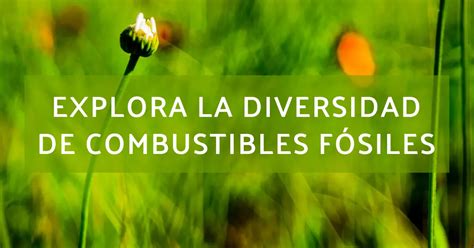 Diversidad De Combustibles Fósiles Visortecnológico