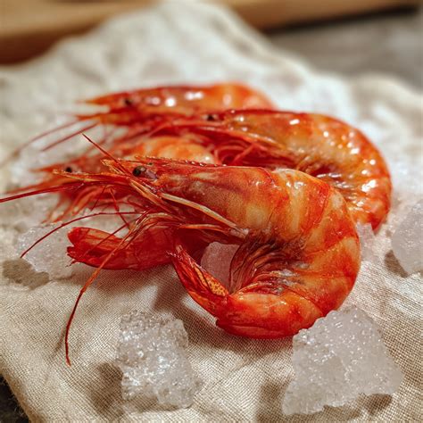 Argentine Red Shrimp The Best Taste And Cooking Guide 2026