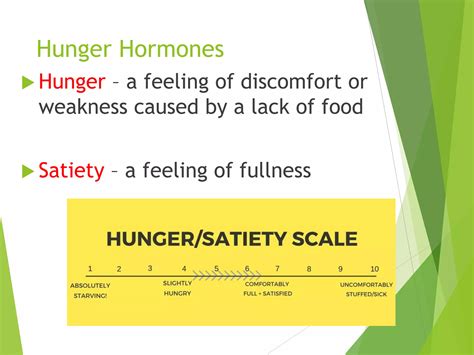 Hormones Of The Digestive Systemppt