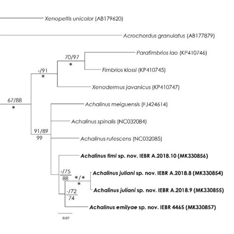 Phylogram Based On The Bayesian Analysis Numbers Above And Below