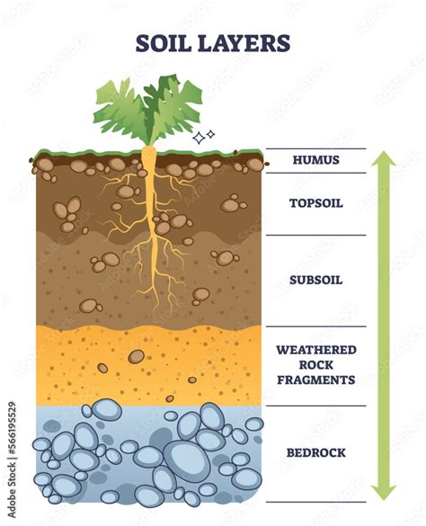 Soil Layers With Geological Ground Structure And Materials Outline