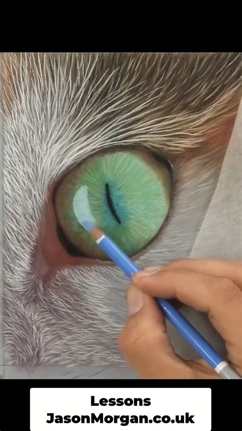 Jason Morgan Wildlife Art On Reels Facebook