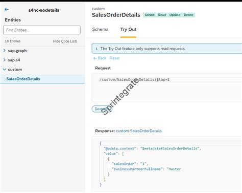 Graph On SAP Integration Suite A Beginners Guide Part Building Custom Entities