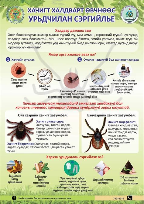 Хачигт халдвараас сэрэмжлүүлж байна