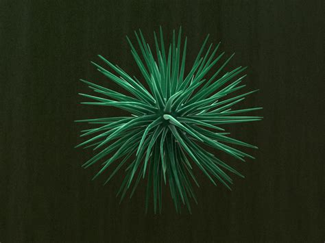 Virus 3d Model 3d Models World